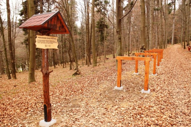 5 rokov činnosti KOCR Severovýchod - PSK